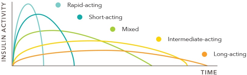 How insulin works | Kaiser Permanente